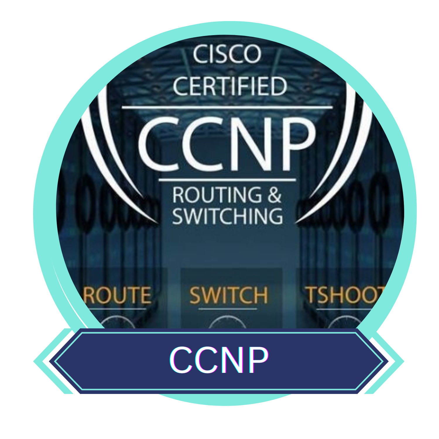 CCNP - campusbuddy
