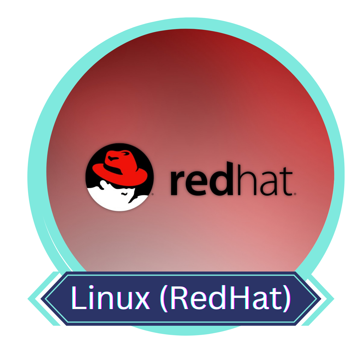 IT SUPPORT - campusbuddy